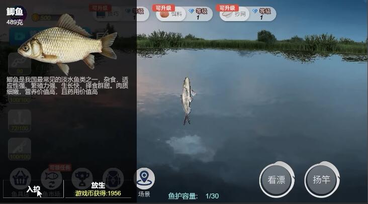 3D实况钓鱼逆向cocoscreator游戏源码3D Live Fishing Reverse Cococreator Game Source ...
